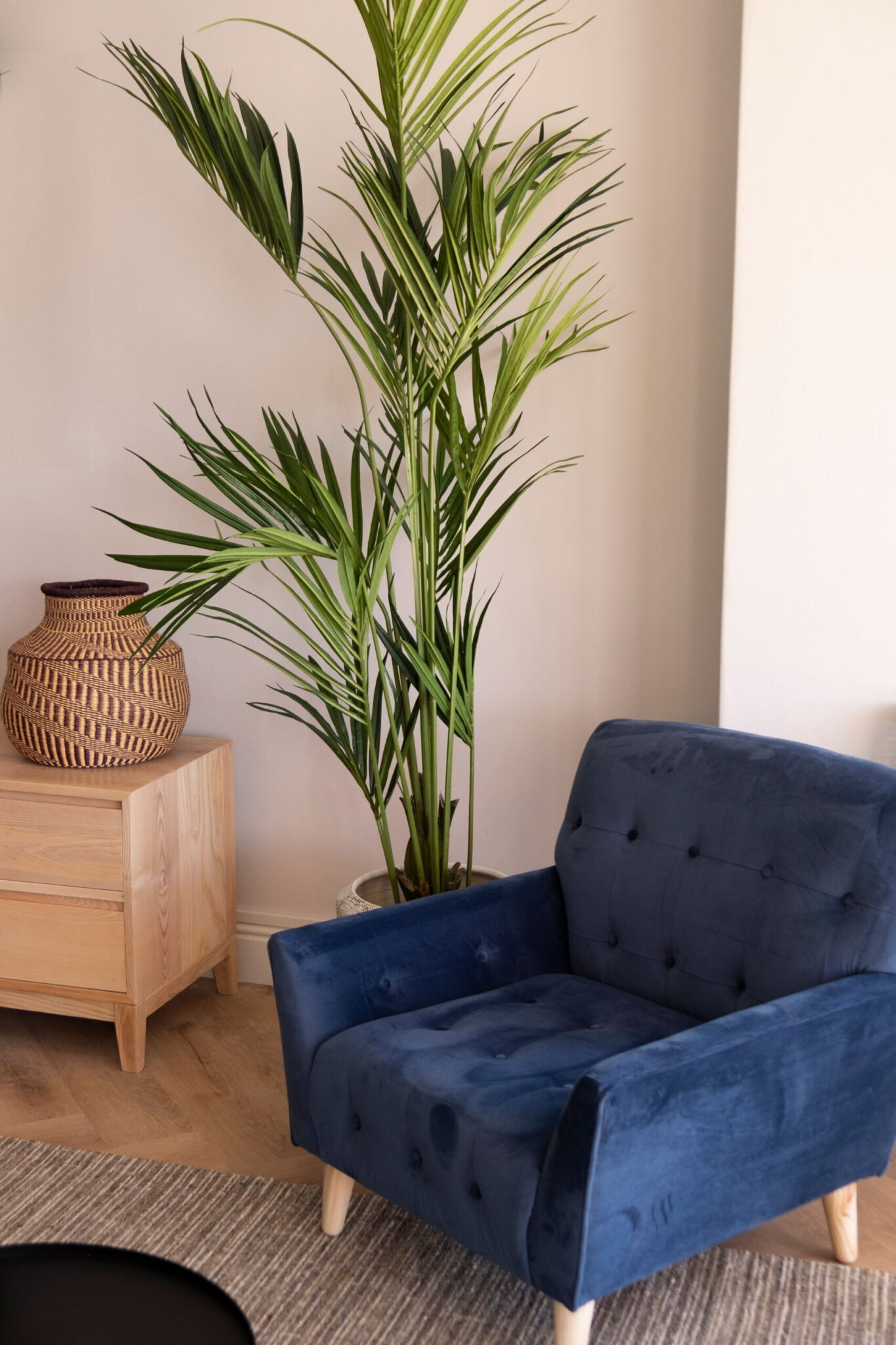 Antrim House Gallery | Explore our Accommodation